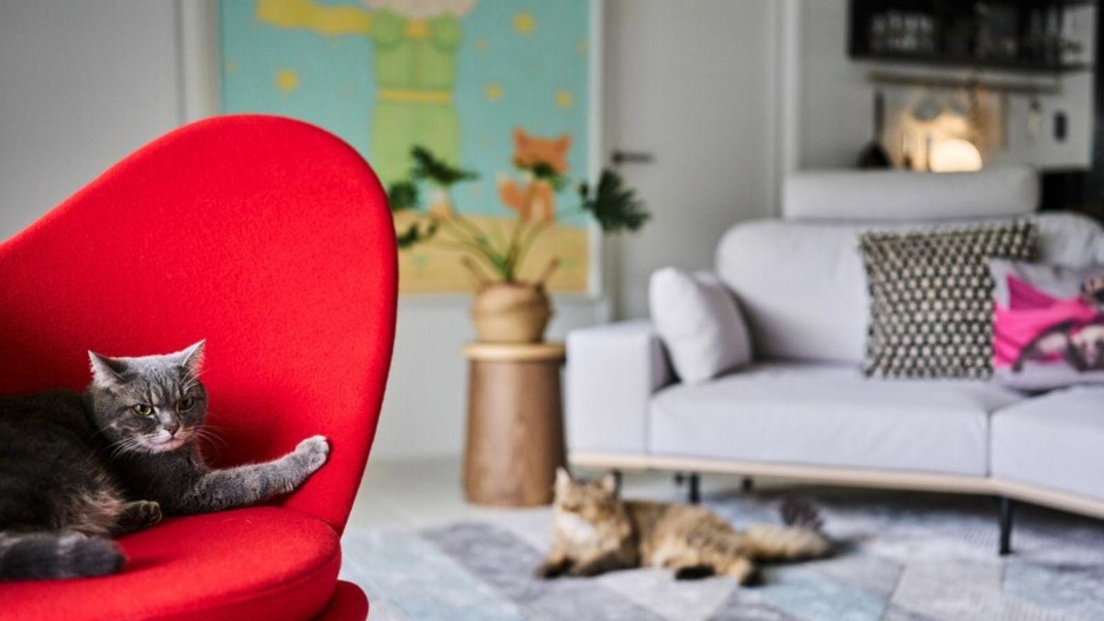 你的家也可以很有風格！知名軟裝師Carol Li傳授打造居家氛圍的秘訣